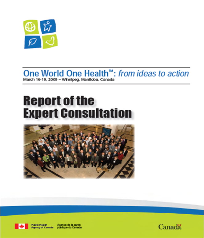 One World One Health – One Health Global Network